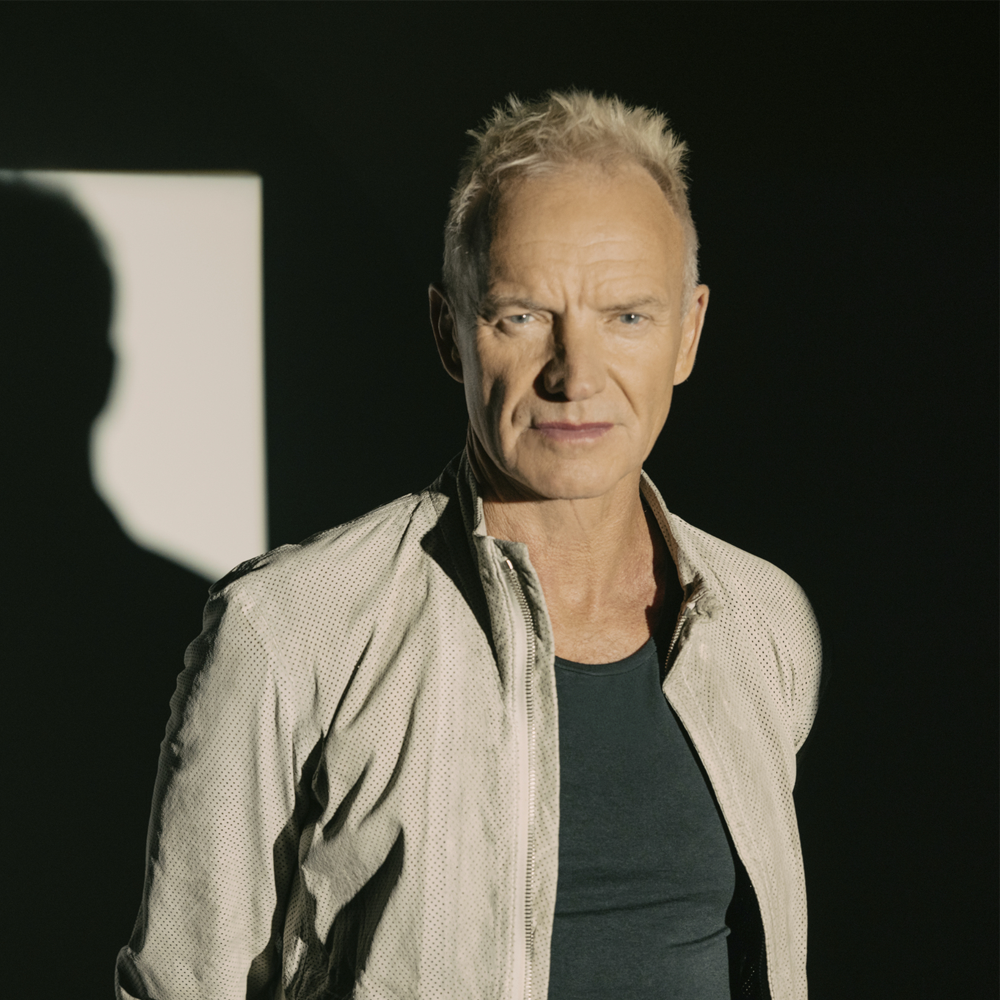 Sting - Vinyl Collector Store