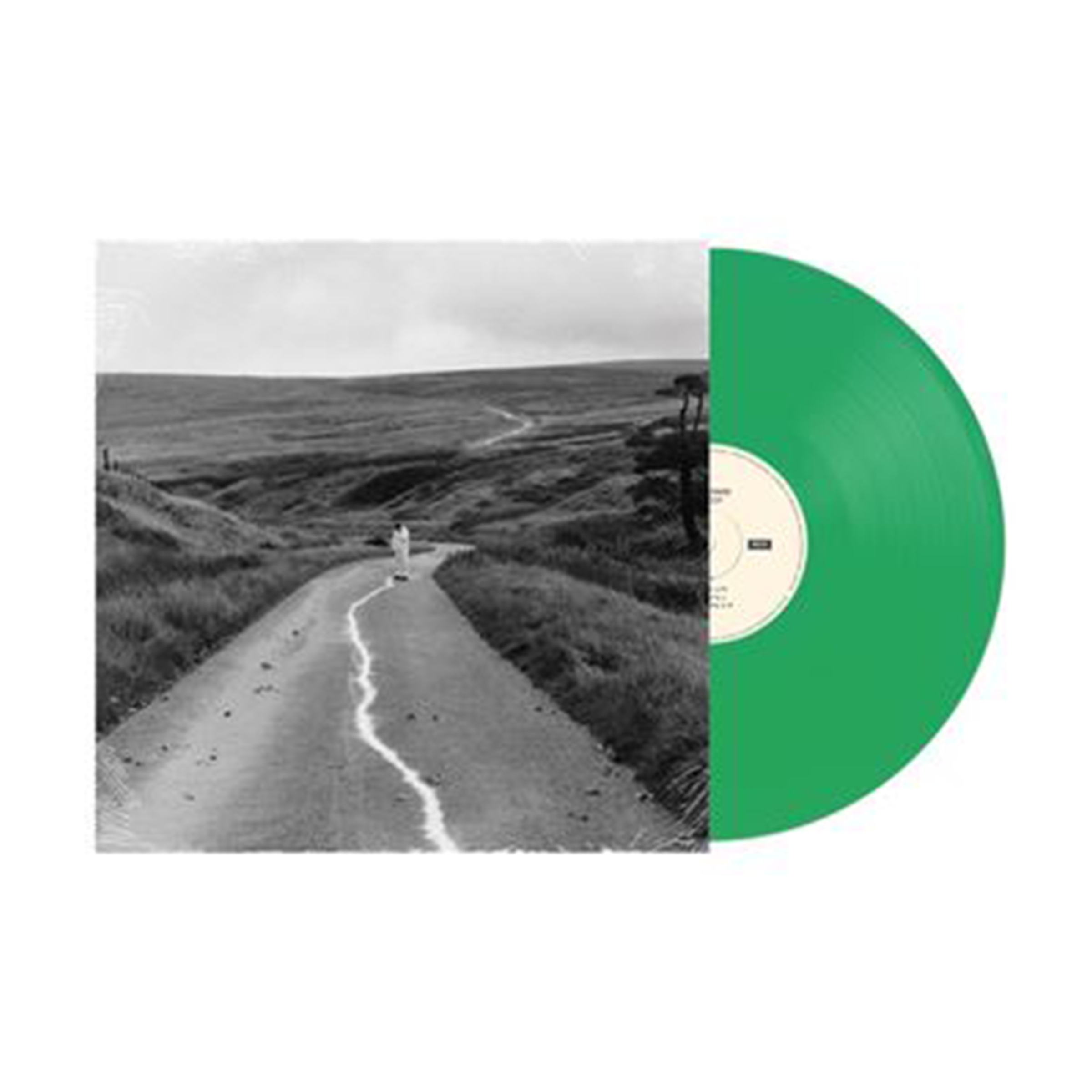Jordan Rakei - The Loop - Double vinyle vert dédicacé - Vinyl Collector ...