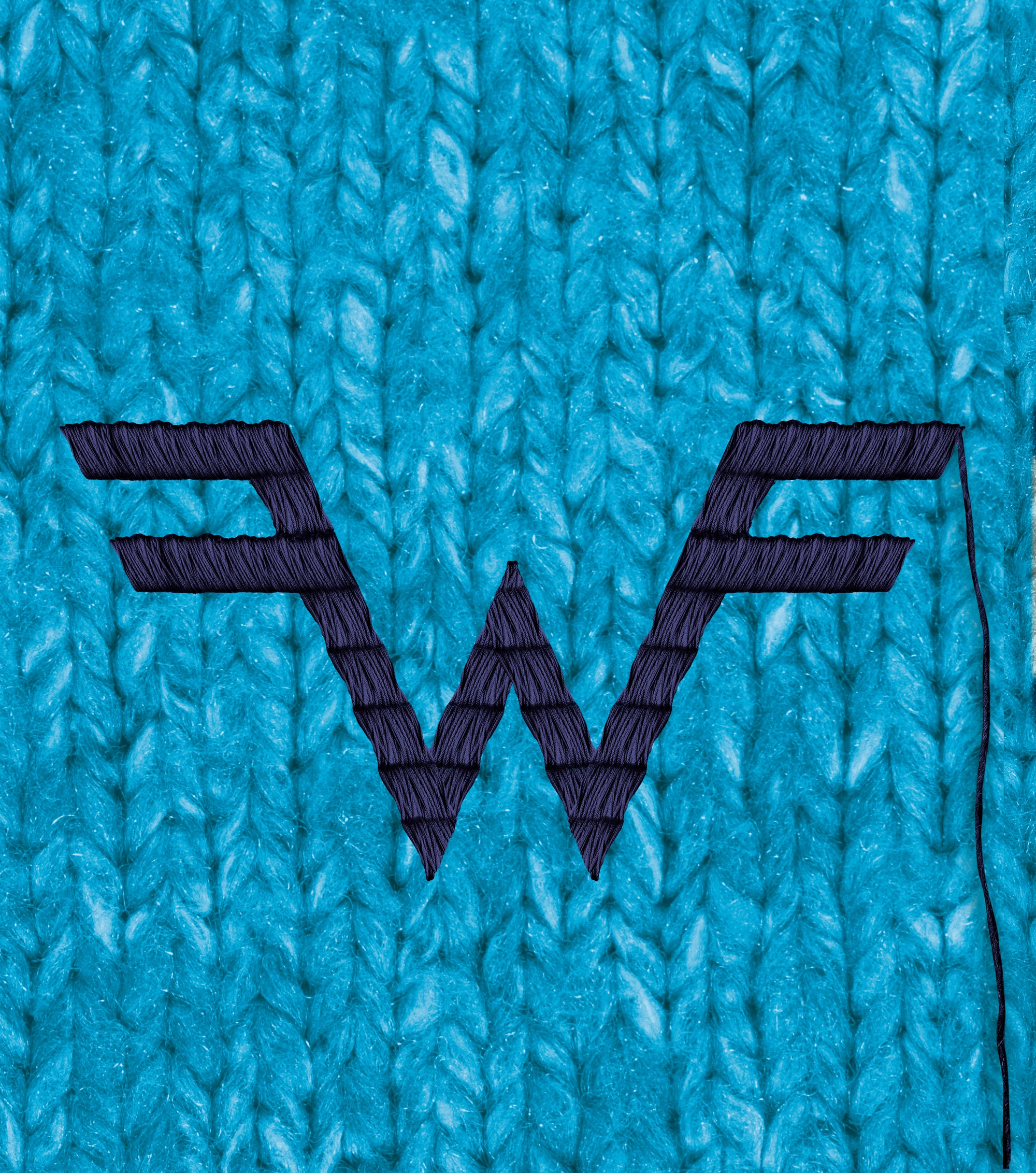Weezer - Blue Album 30th Anniversary - Coffret Super Deluxe 4LP + 10 ...
